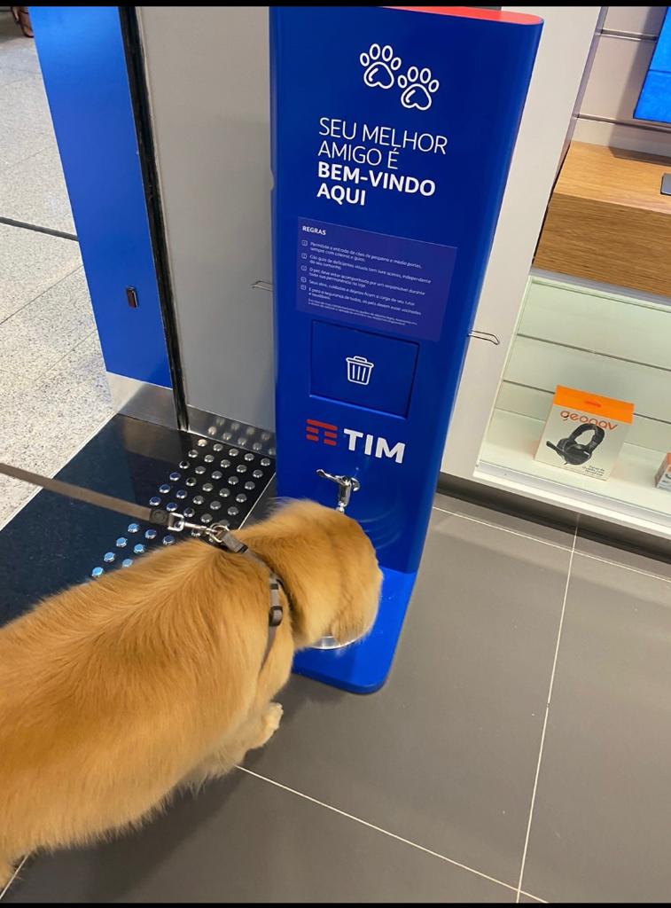 TIM contempla novas lojas do Nordeste com conceito pet friendly – Yacht ...